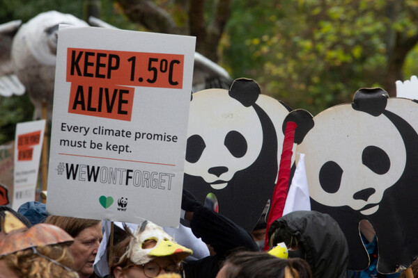 WWF “COP29, 1.5°C 달성의 실질적 장이 되어야”